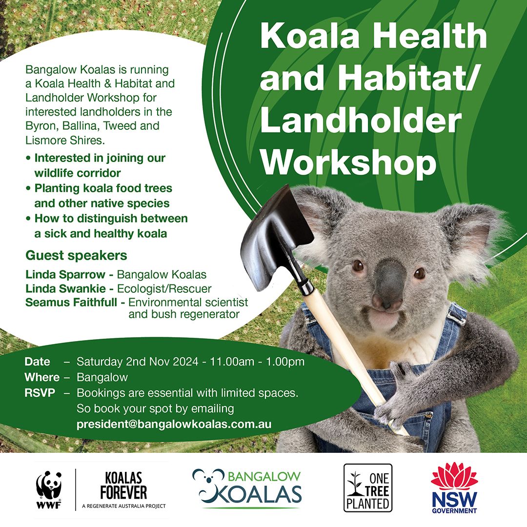 Koala Health and Habitat / Landholder Workshop - Bangalow Koalas
