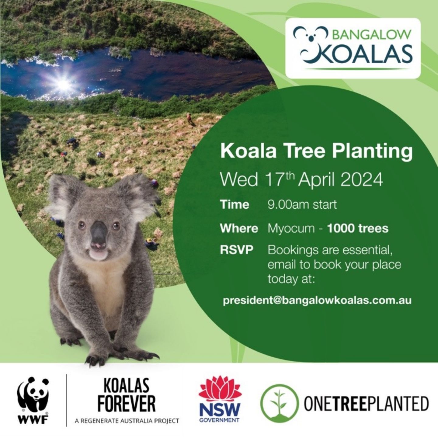 Koala Tree Planting 17th April 2024 - Bangalow Koalas